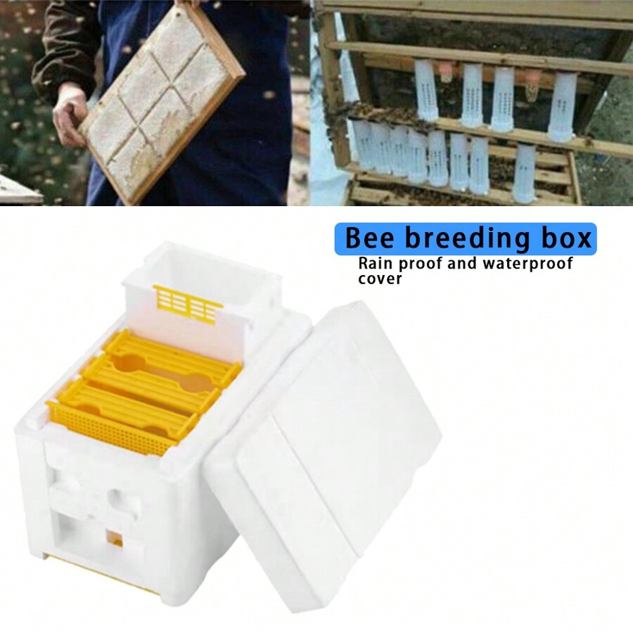 Foam Beehive For Beekeeping Tools, Bee Mating Box, Foam Queen Rearing ...