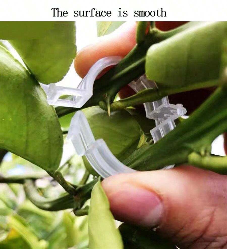 20/50pcs Home Outdoor Plant Climbing Fixture Clip, Outdoor Solid Color ...