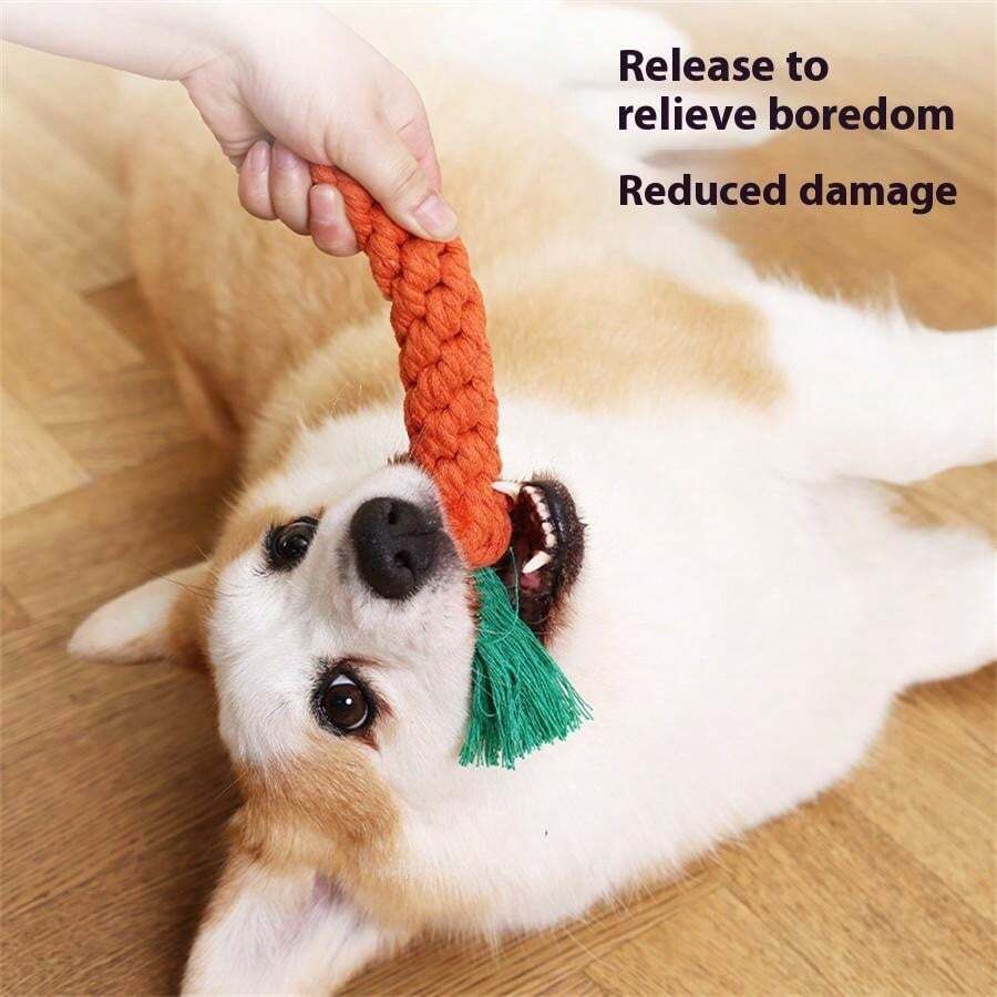 A Dog Toy Knot, Tug-Of-War Toy Interactive Pull Bite Rope, Molar Large ...