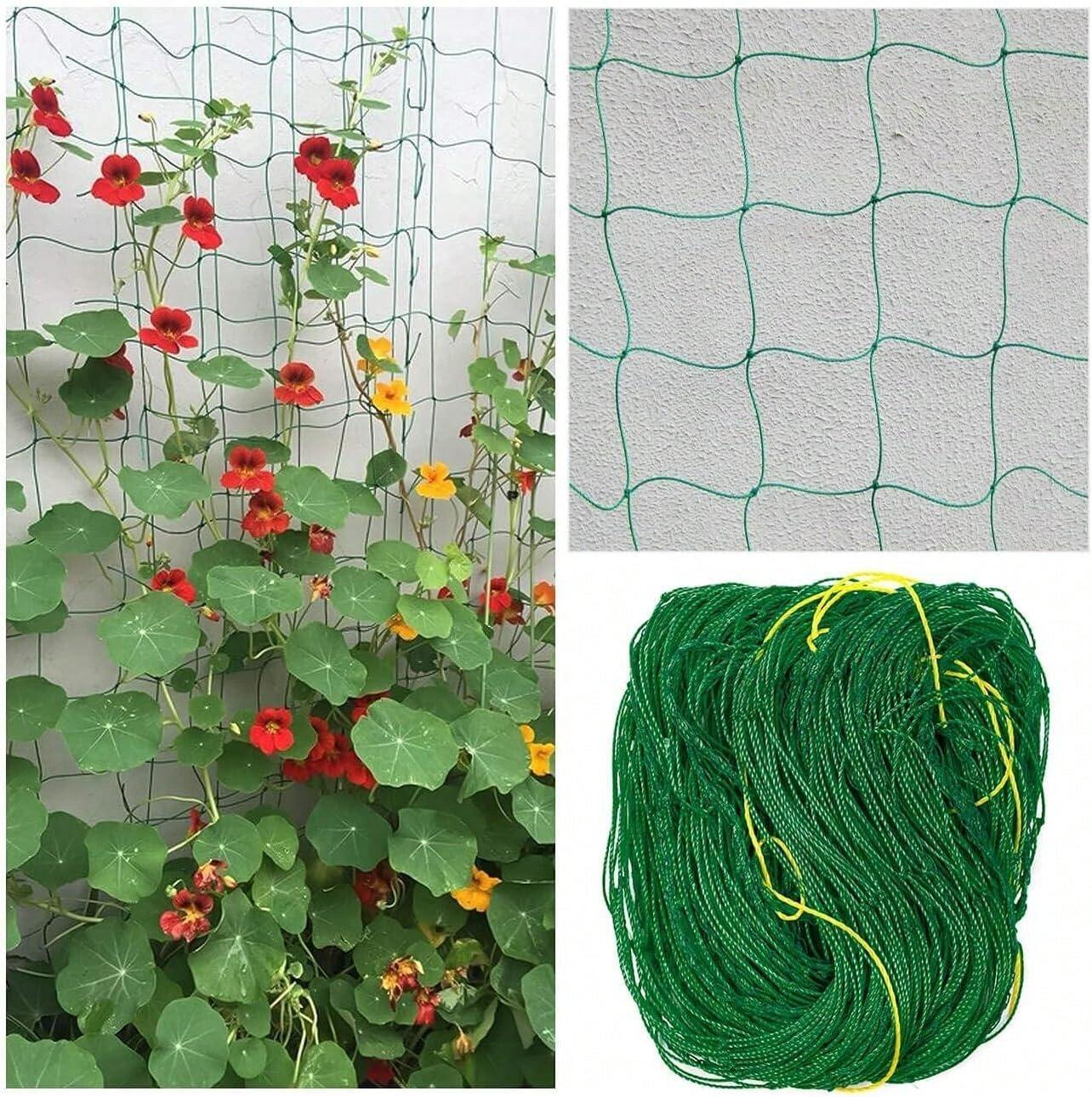 Rete Trellis per Pianta Esterna in Nylon Resistente con maglia fitta ...
