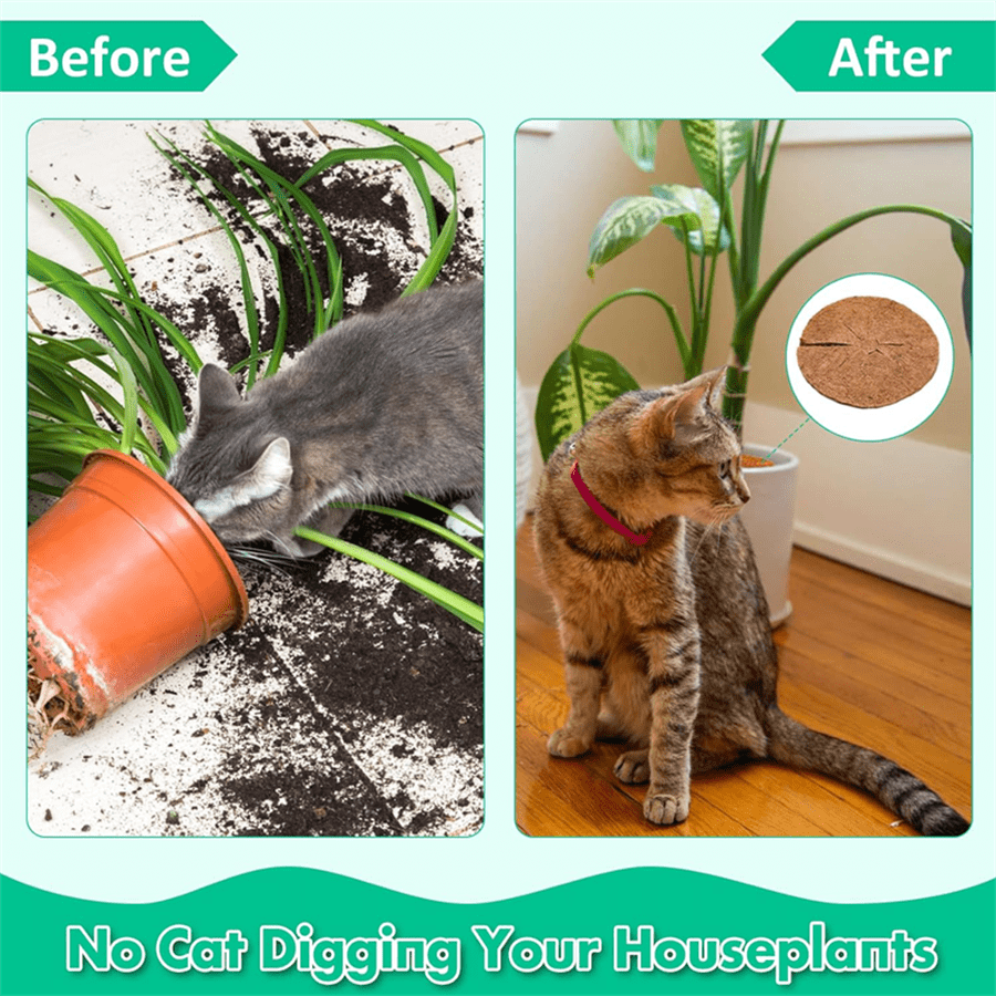 3pcs Coconut Fiber Ring Mulch Plant Protection Mats,11.8 Inch Natural ...