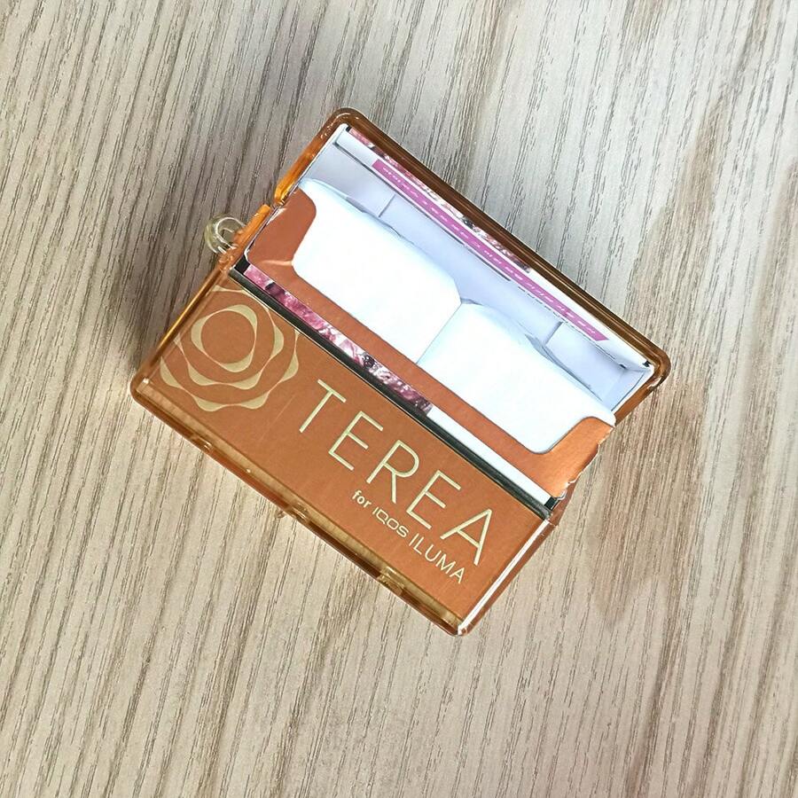 Cigarette Box For IQOS 3 DUO Box Portable Cigarette Carry Box For LIL ...