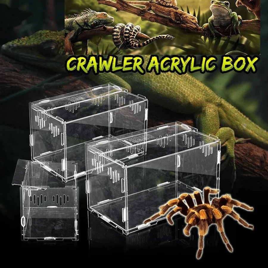 Acrylic Reptile Terrarium Suitable For Small Reptiles, Amphibians ...