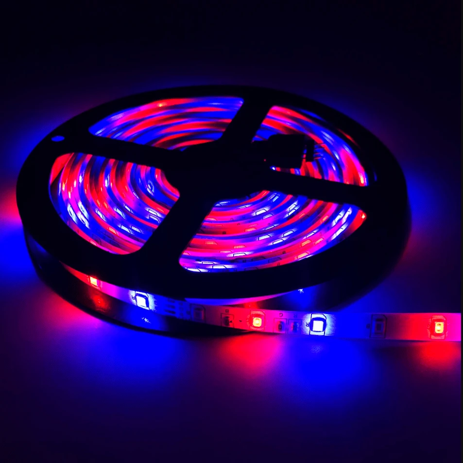 LED Strip Lights 16 Feet RGB LED Lights With Remote | SHEIN USA