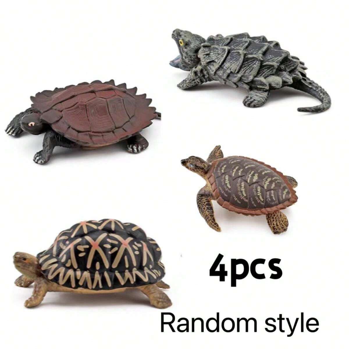 Simulation Amphibian Reptile Turtle Model Real Crocodile Turtle Grass ...
