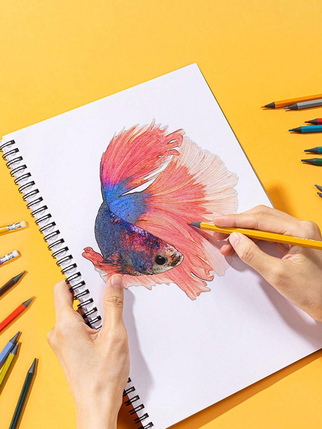 1PC 12 Color Erasable Colored Pencil With Rubber Tip For Student ...