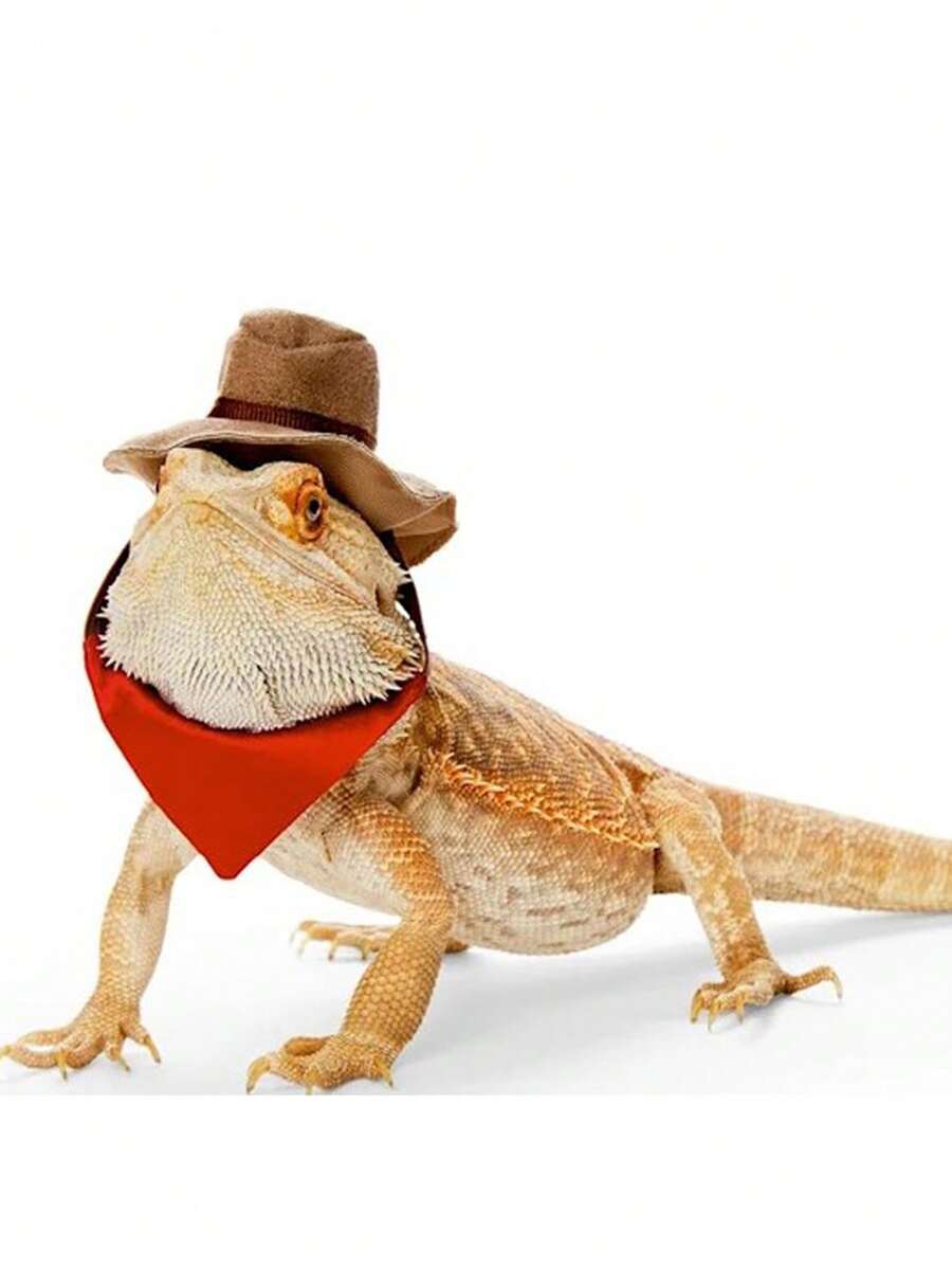 Detachable Lizard Bandana Western Cowboy Hat, Amphibian Reptile Dress ...