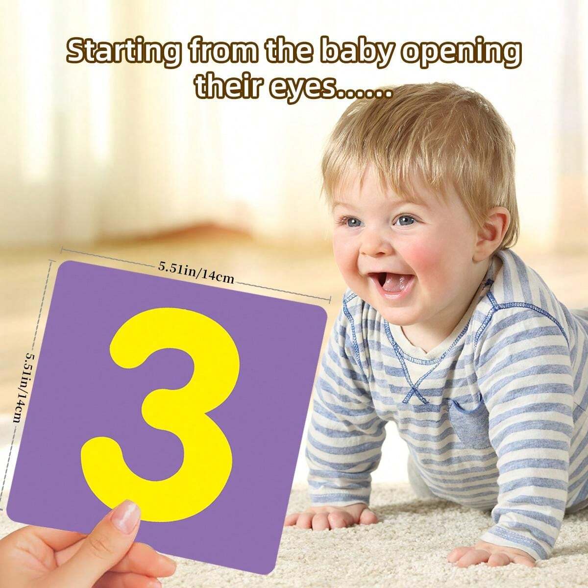 1 Box Of 24pcs 14cm*14cm English Visual Recognition & Vocabulary ...