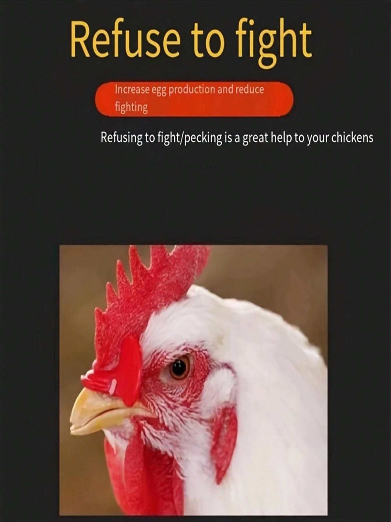 Chicken Eye Protective Glasses, With A Bolt To Prevent Pecking And ...