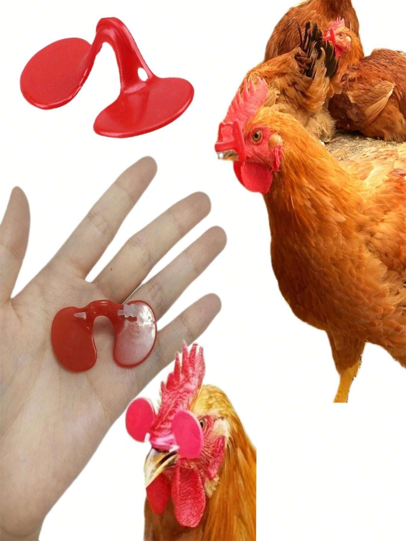 Chicken Eye Protective Glasses, With A Bolt To Prevent Pecking And ...