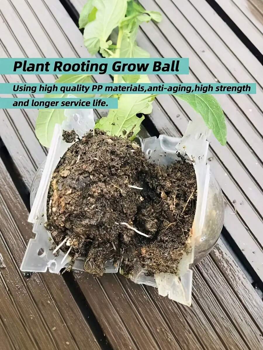 10pcs Plant Root Grow Box, Breeding Ball, Reusable, No Damage Grafting ...