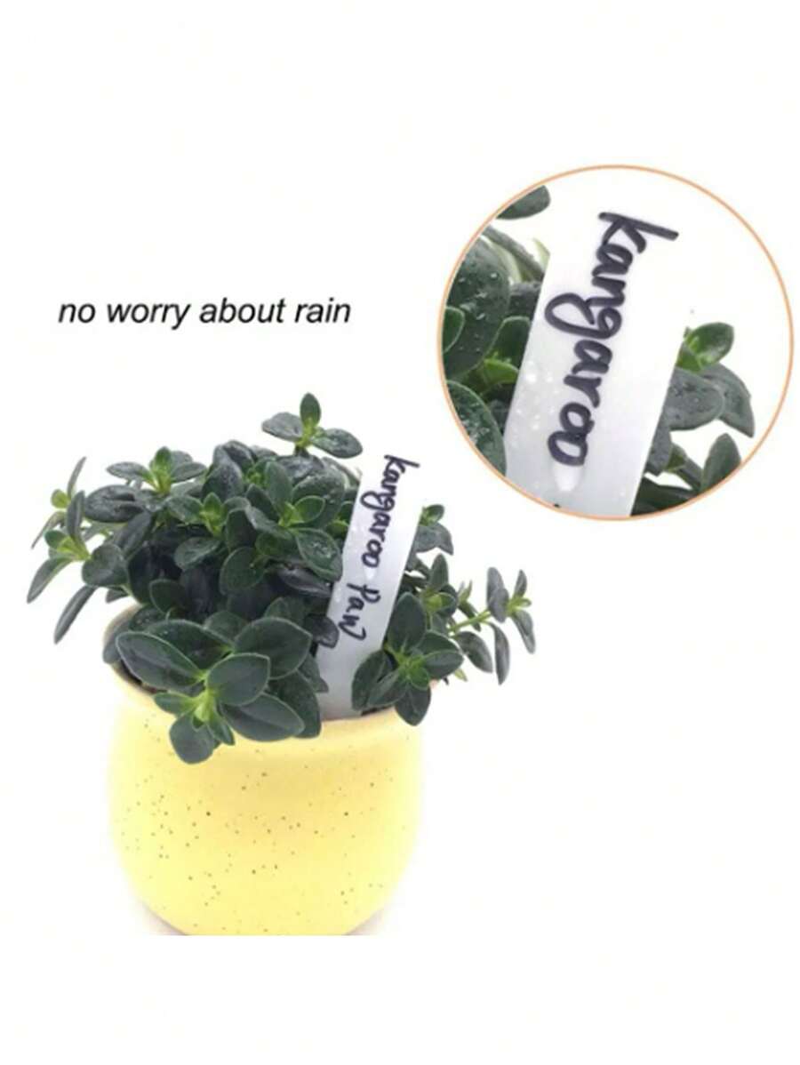 100pcs PVC Plastic Horticultural Flower Tag, Succulent Plant Label ...