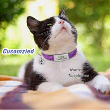 Personalized Cat Collars And Labels, Engraved Custom Cat Collars With ...