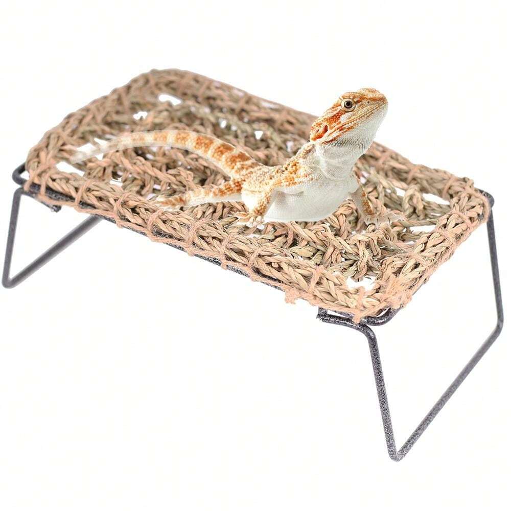 Lizard Lounger For Rest, Reptile Lounger Hammock Bed, Seagrass Bearded ...