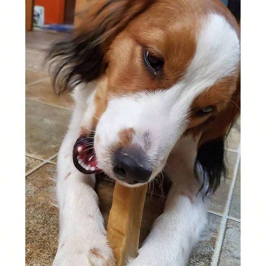 Yeti Dog Chew Strawberry Flavored Natural Yak Cheese Chew Bulk Pack ...