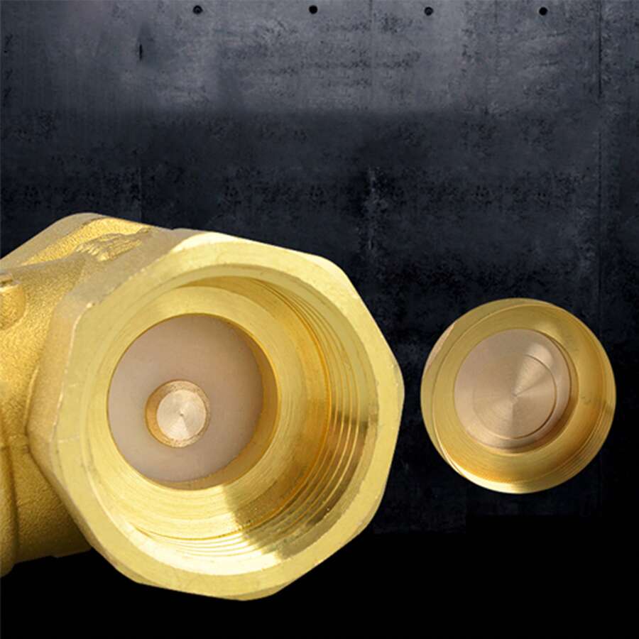 One Vertical Silent Check Valve, Spring Check Valve, Project Check ...