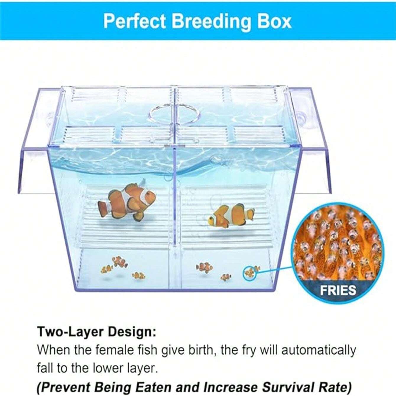 Fischzucht Box Aquarium Hälterungsbehälter transparente Fisch ...