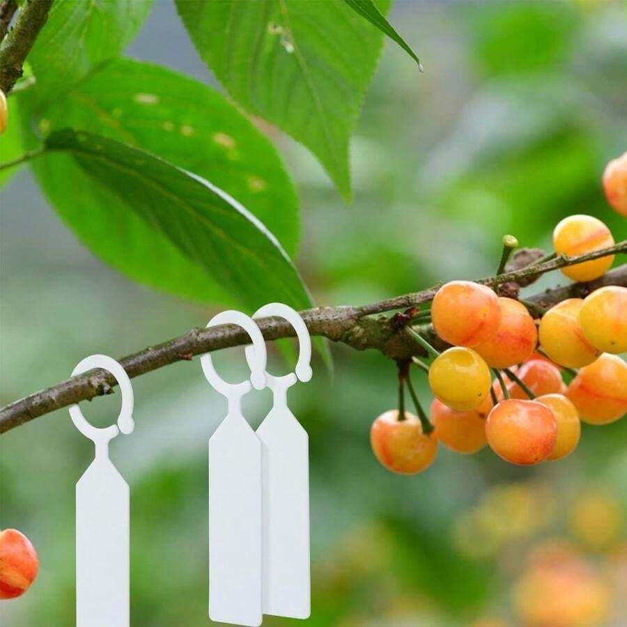 100pcs Plastic Plant Labels - Plant Tag Clasp Garden Markers - Colorful ...