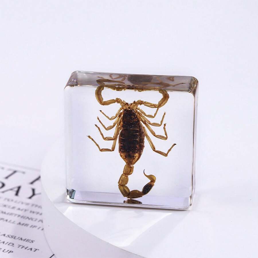 1pc Small Animal Insect Specimen, Resin Marine Animal Amber Specimen ...