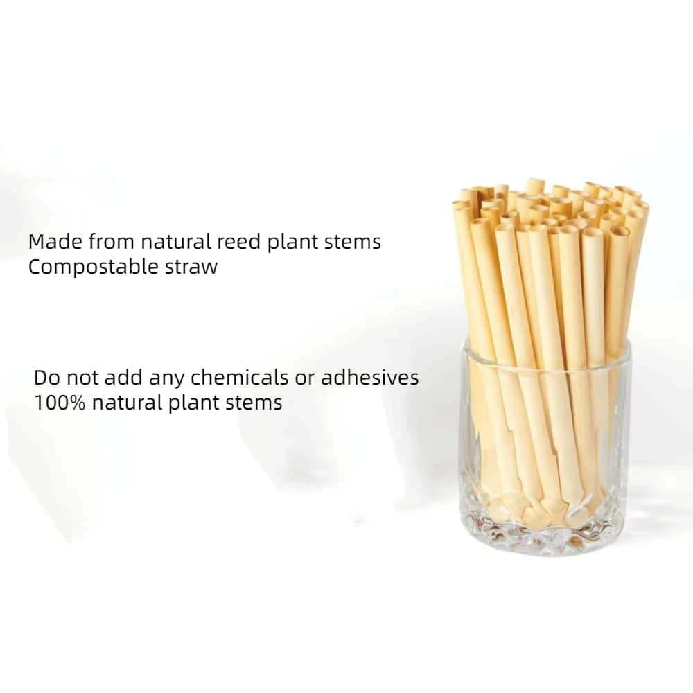 100pcs Reed Straws, Ecology, And Compostable Straws, 100% Plant-Based ...