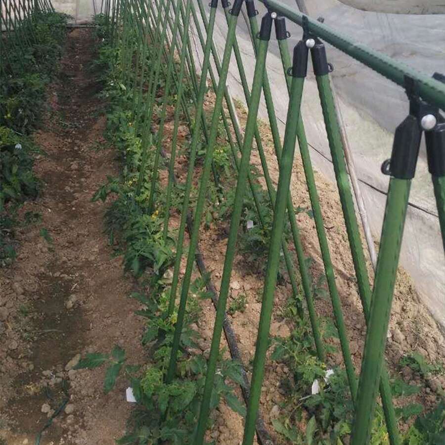 11pcs Grape Vine Supports Steel Tubes Gardening Flower Stands For ...