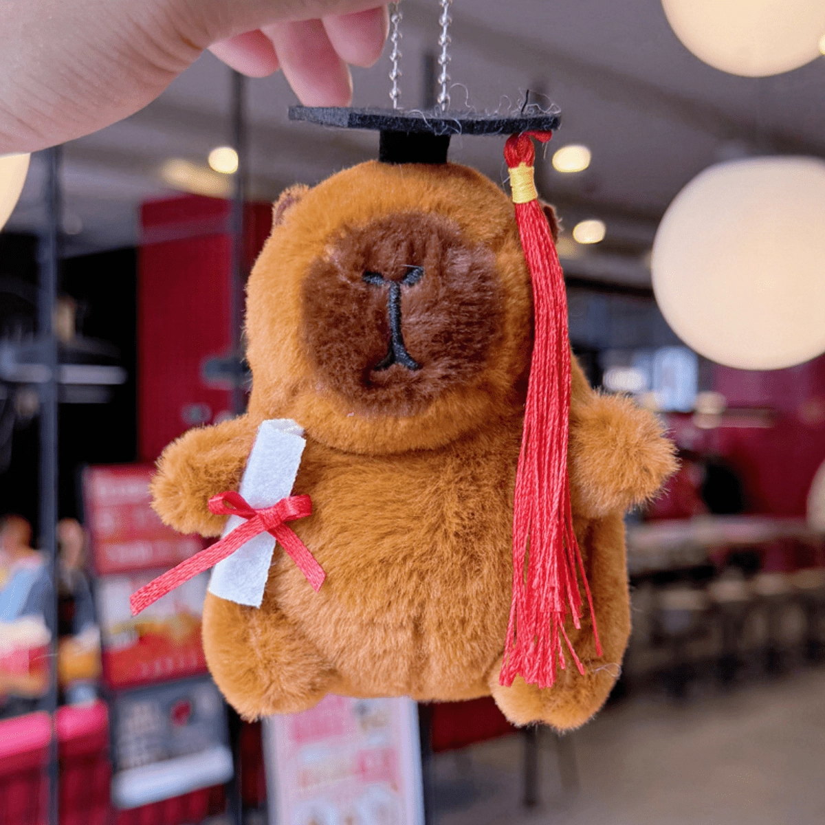 Plush Doctor Car Capybara Pendant, Student Congratulate Success Key ...