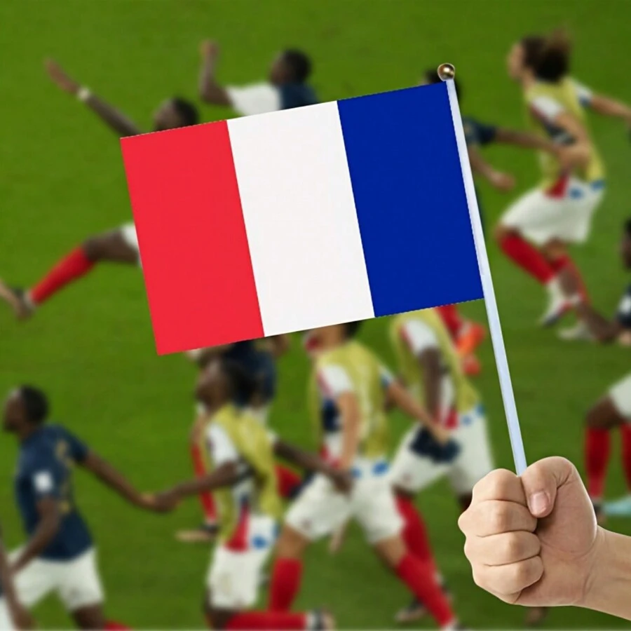 10pcs France Flag Hand Held French Mini Small Stick Flags For Party ...