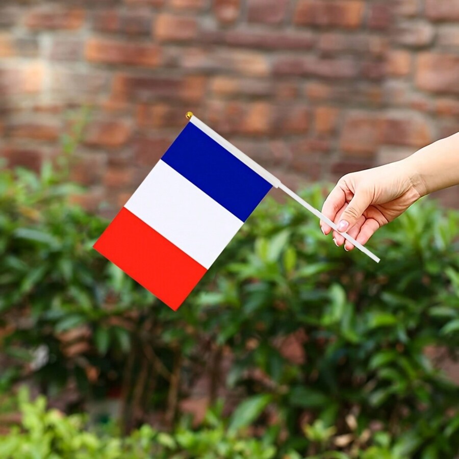 10pcs France Flag Hand Held French Mini Small Stick Flags For Party ...