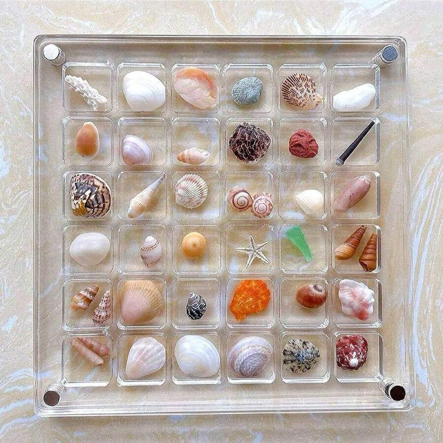 1pc Small Multi-Compartment Seashell Storage Box, Acrylic Square ...