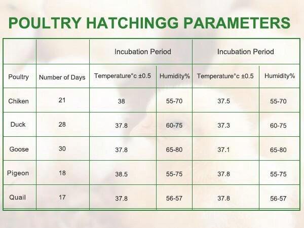 Egg Incubator With Humidity Display, 18 Eggs, Incubators For Hatching Chickens With Egg Candler ...