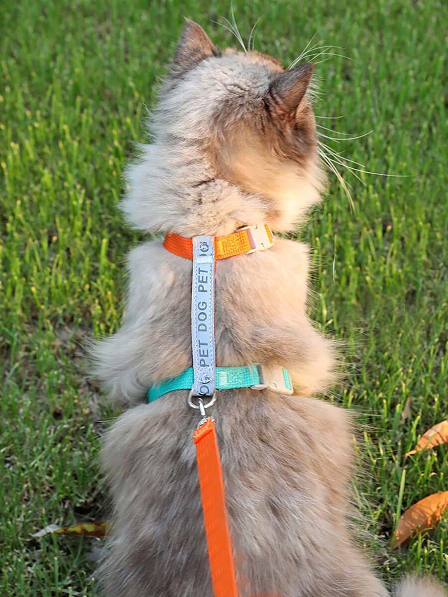 1 Set Pet Reflective Chest Strap With Leash, Adjustable Anti-Escape ...