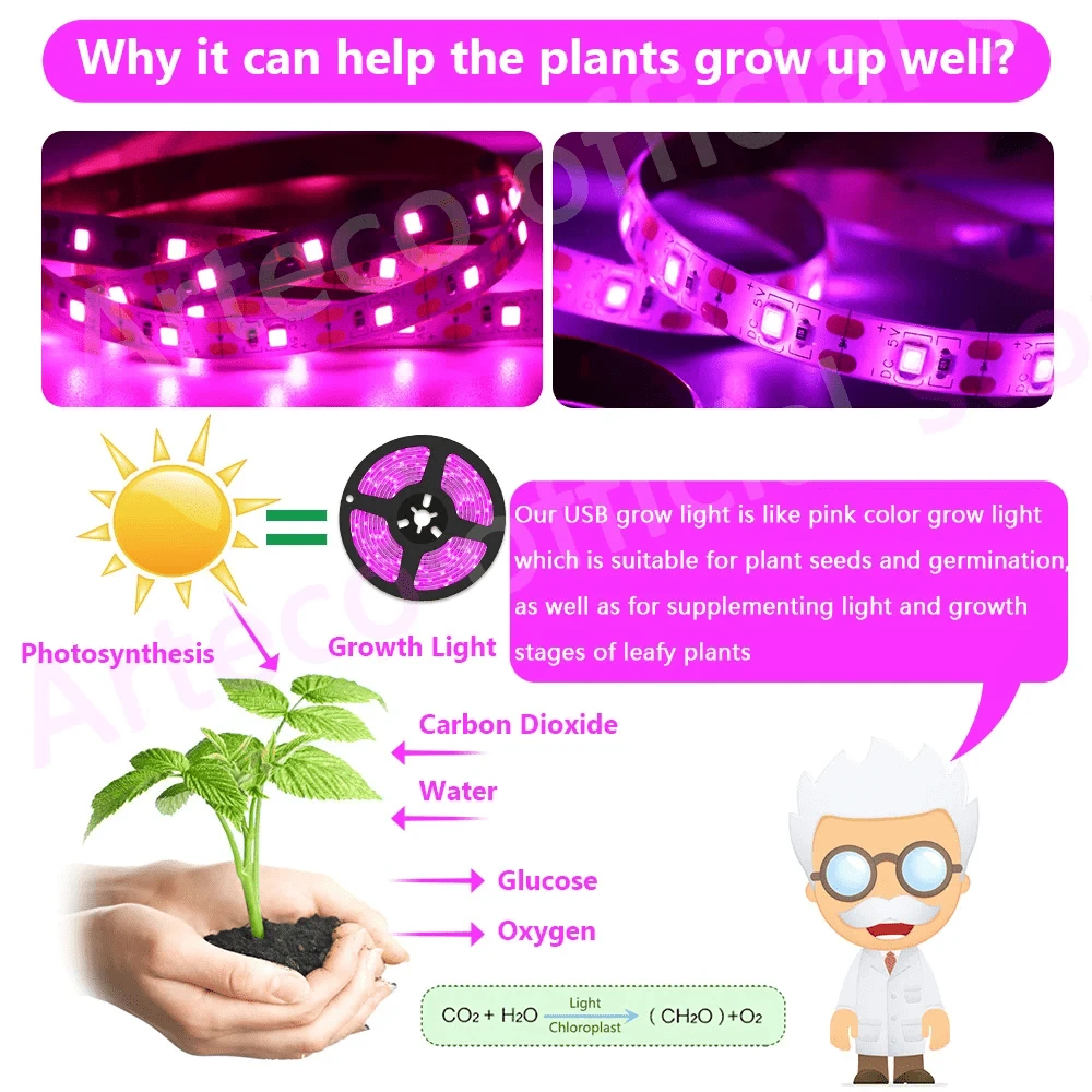 60 Beads/Meter USB LED Plant Grow Light 1M/2M/3M/5M/10M SMD2835 Pink ...