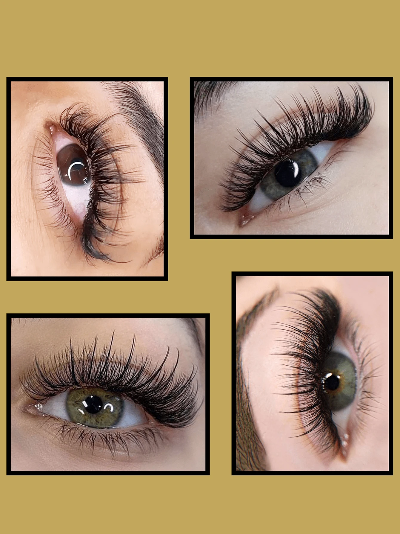5D Flora Lashes 0.07mm Easy Fan Eyelash Extensions Wholesales Premade ...