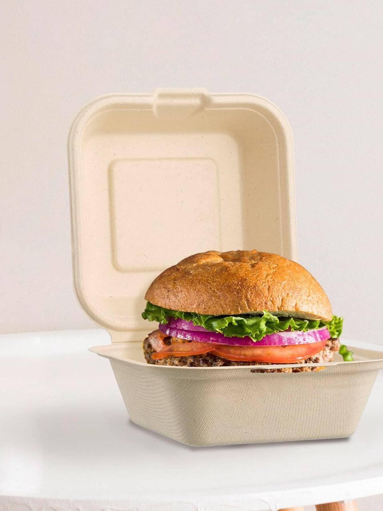 10 Clear Plastic Hinged Food Containers, Clear Plastic Square Takeout ...