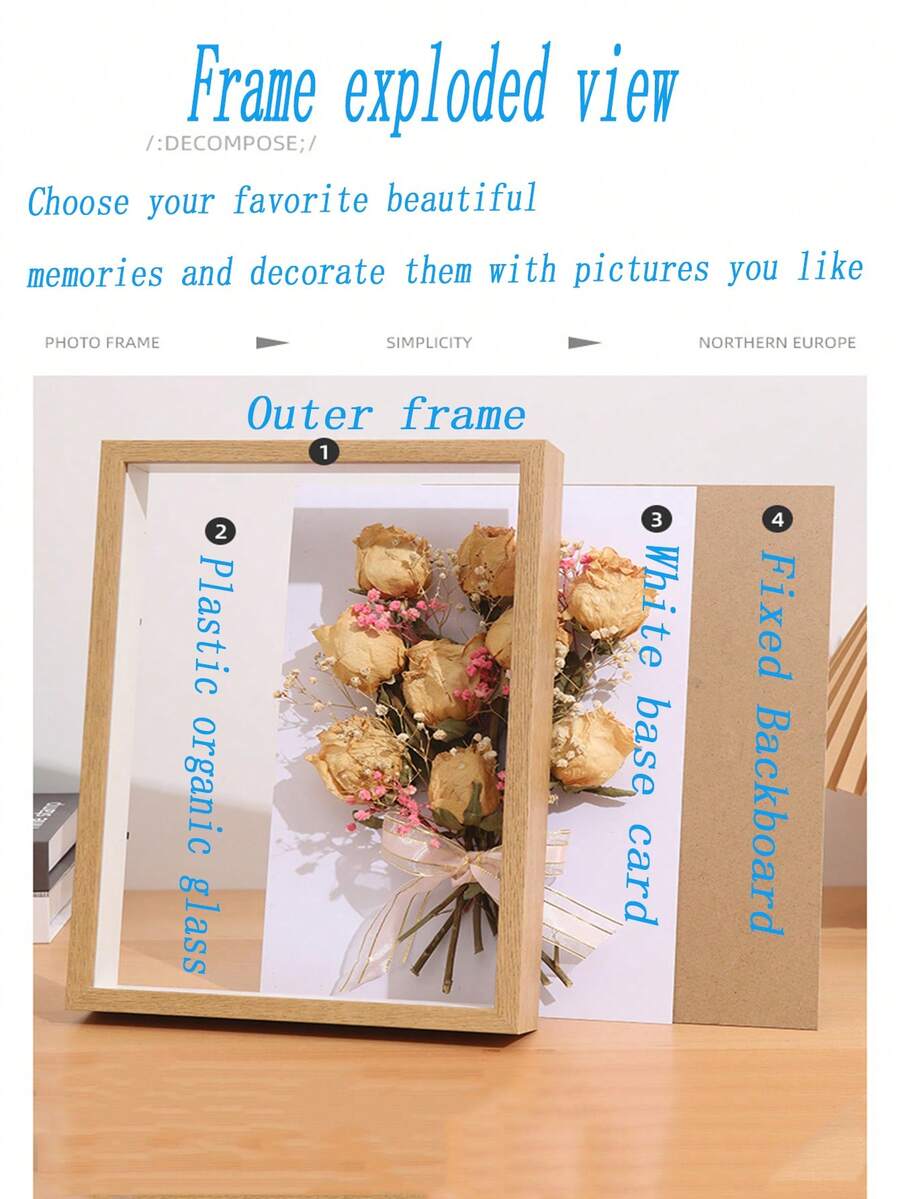 3cm Hollow Dried Flower Frame With Shell, Insect And Plant Specimen ...