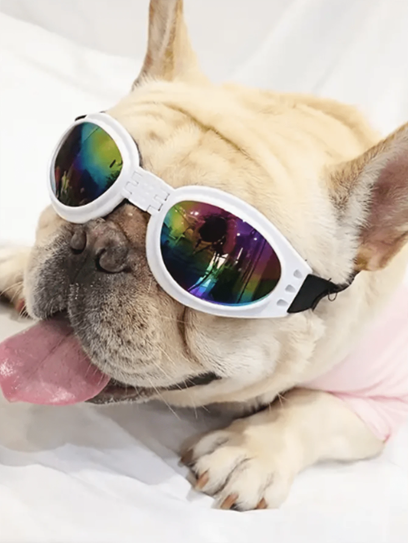 Foldable Pet Sunglasses For Dogs And Cats - Stylish And Durable Pet ...