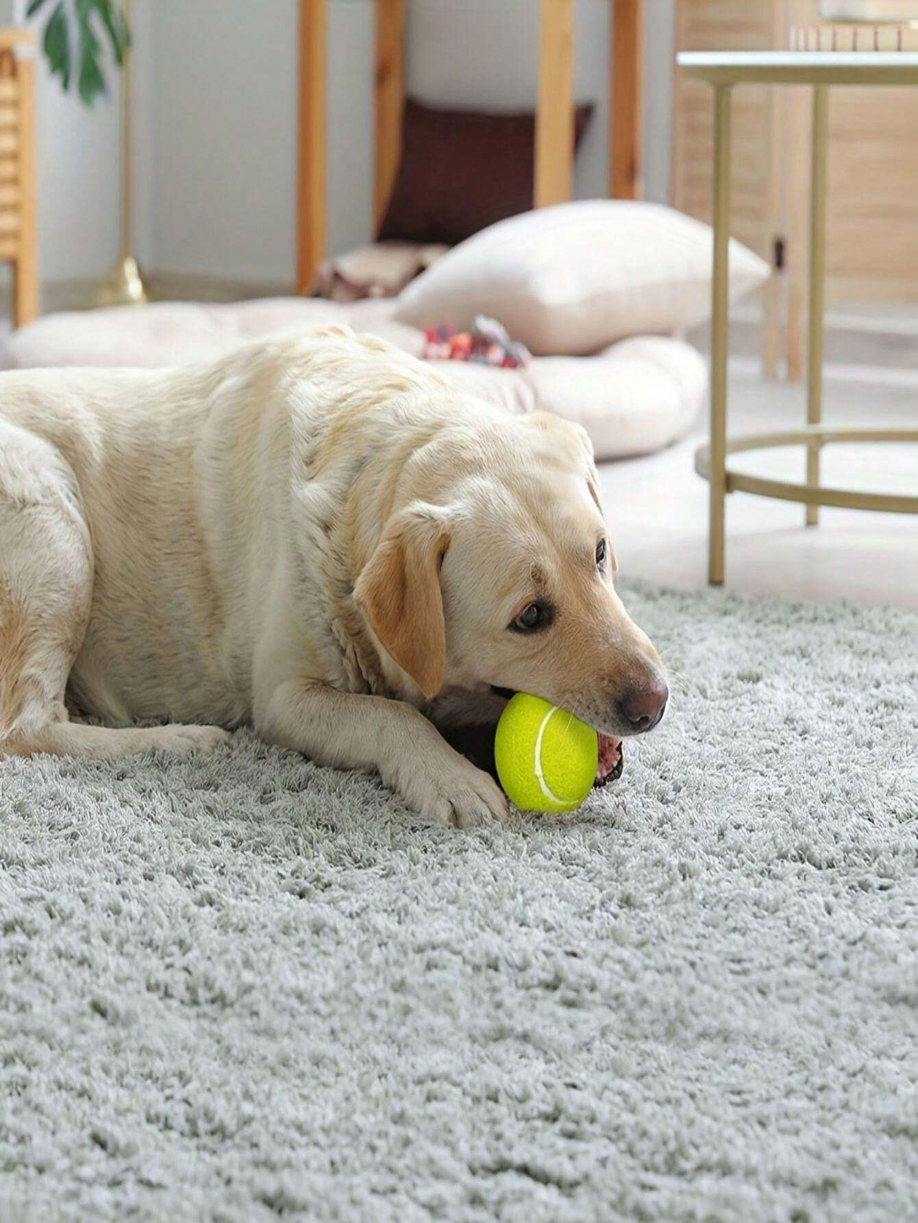 3pcs Dog Tennis Ball, Resilient Dog Ball, Indoor & Outdoor Interactive ...