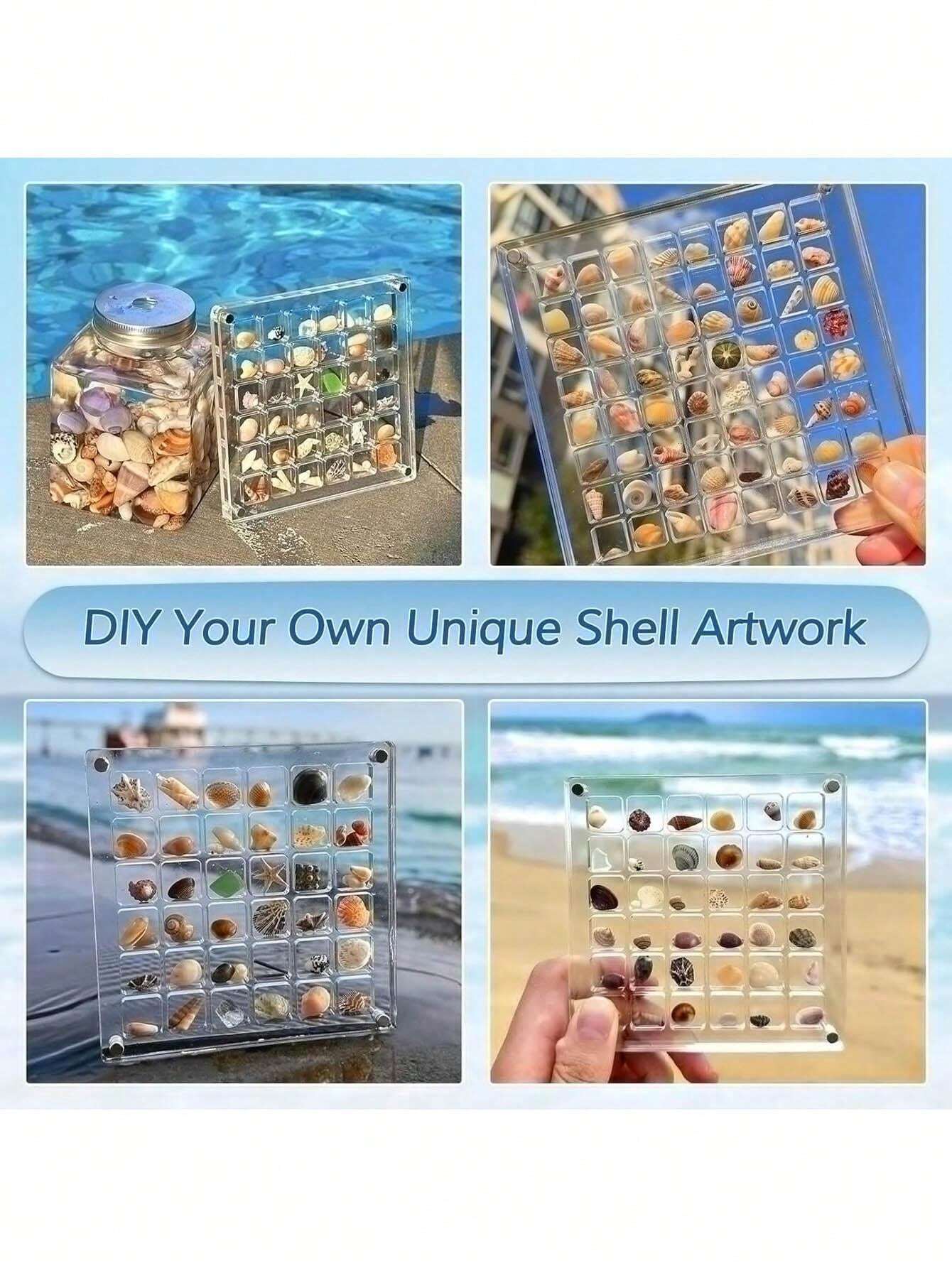1PC Acrylic Magnetic Seashell Display Box, 36/64 Grids Acrylic ...