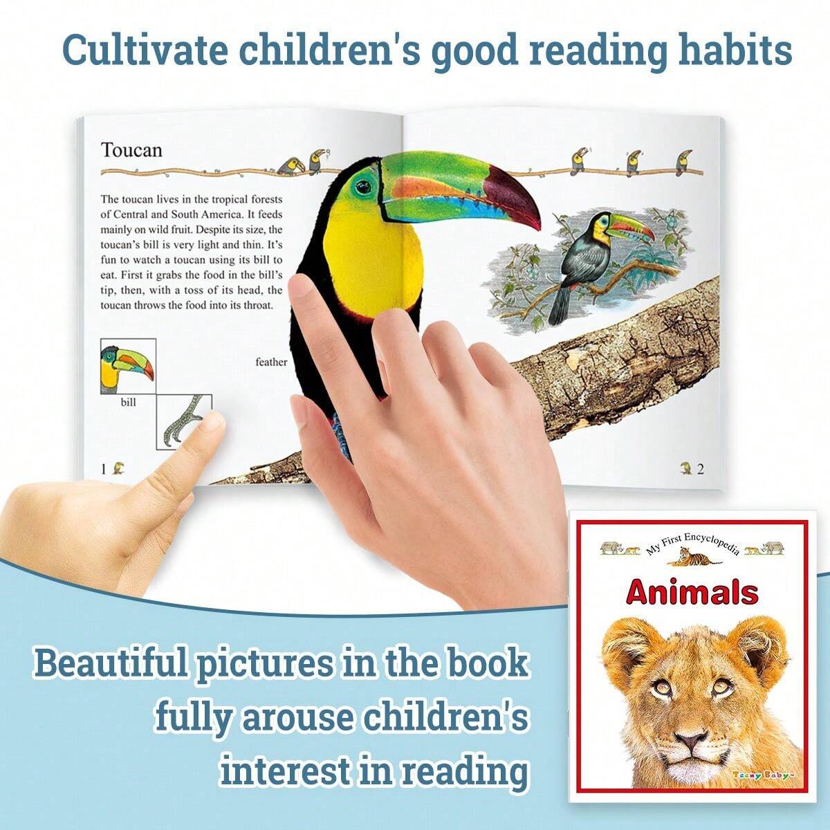 1 Box (10 Books) Children's Favorite Encyclopedia Knowledge Learning ...