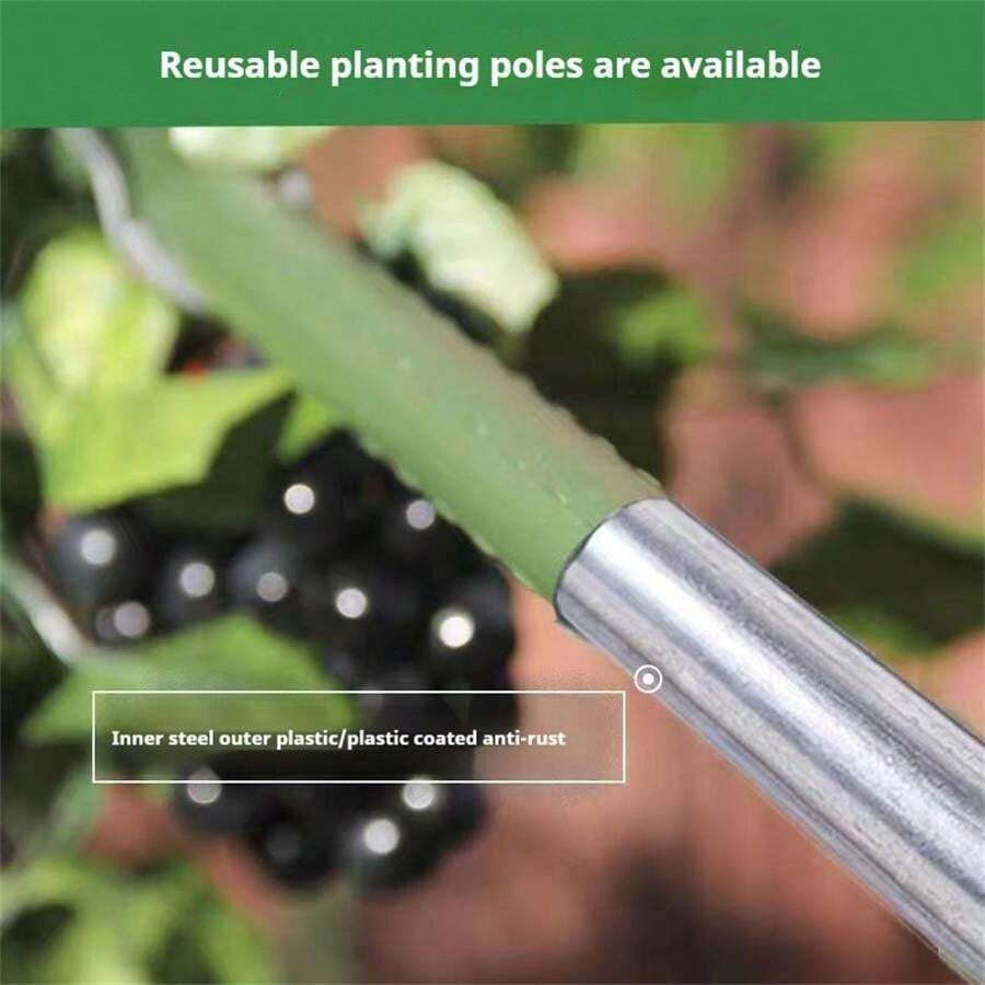 Cucumber And Bean Vegetable Plant Staking Rack With Plastic-Coated ...