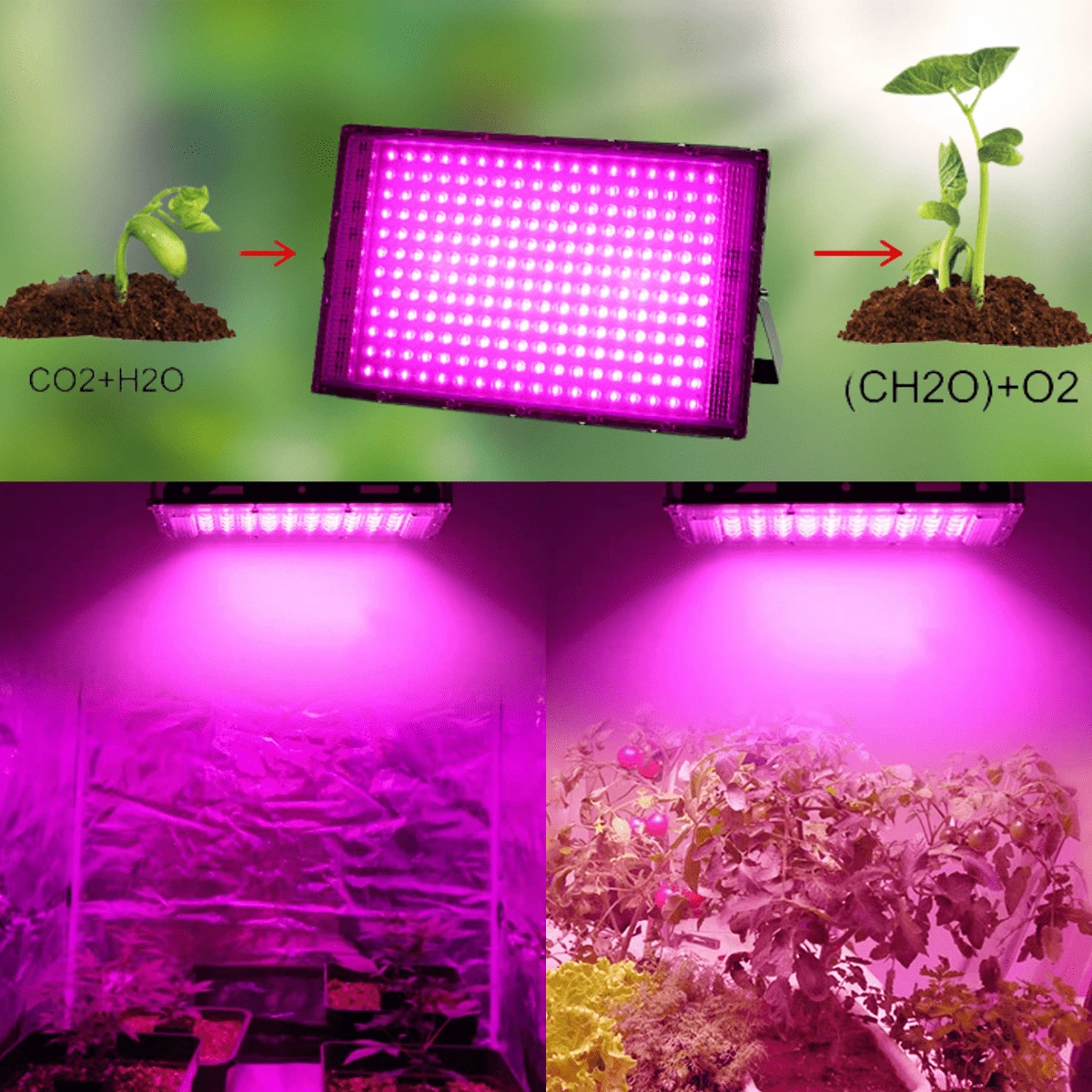 Plant Growth Lamp Seedling Planting Fill Light, Indoor Plant Growth ...