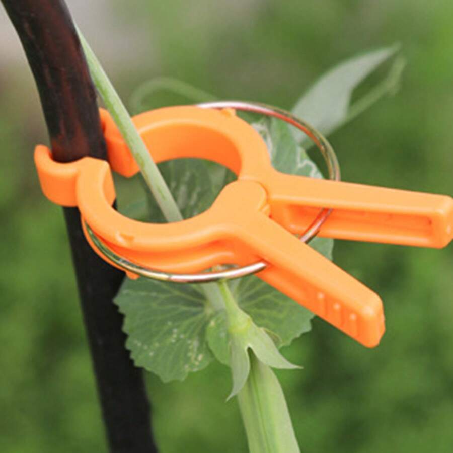 12pcs Plant Clips Garden Clips Flower And Vine Garden Tomato Plant ...