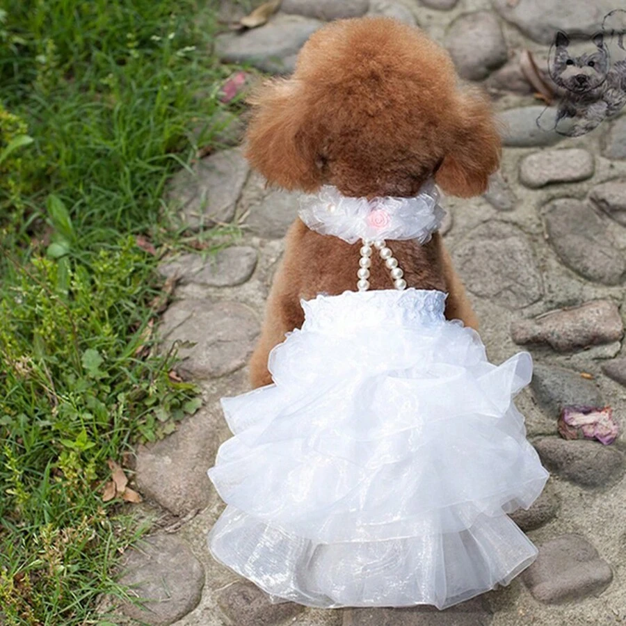 Summer Wedding Dress Dog Clothes, Pet Dress For Photo Shoot Or Cat, Pet ...