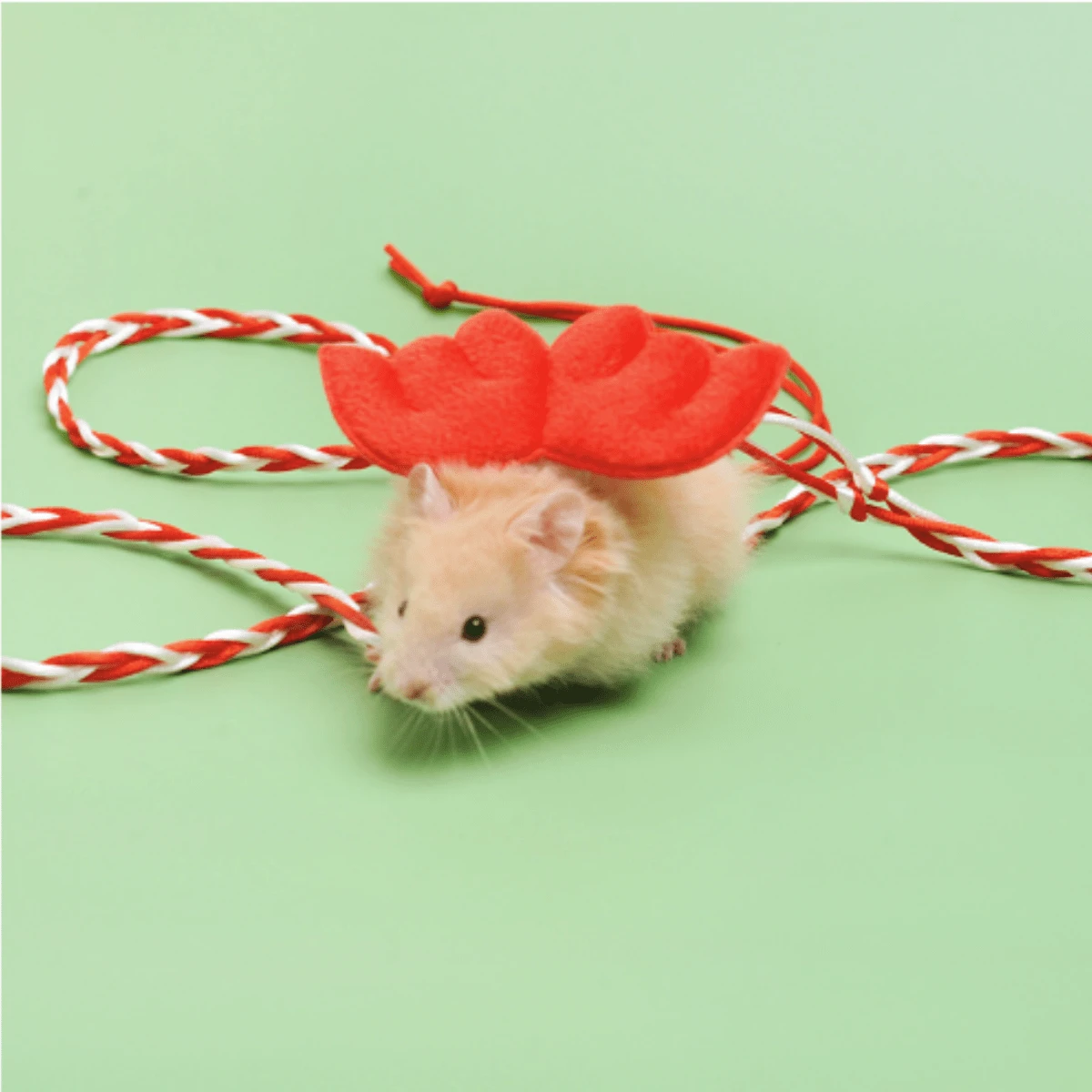 1pc Small Animal Harness Lead With Bell Angel Wings Design For Hamsters ...