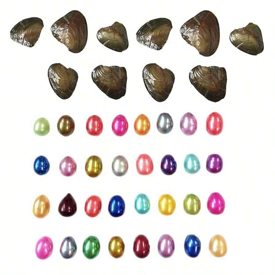 2pcs Packaged Freshwater Pearl Mussel Shells, DIY Pearl Extraction Set ...