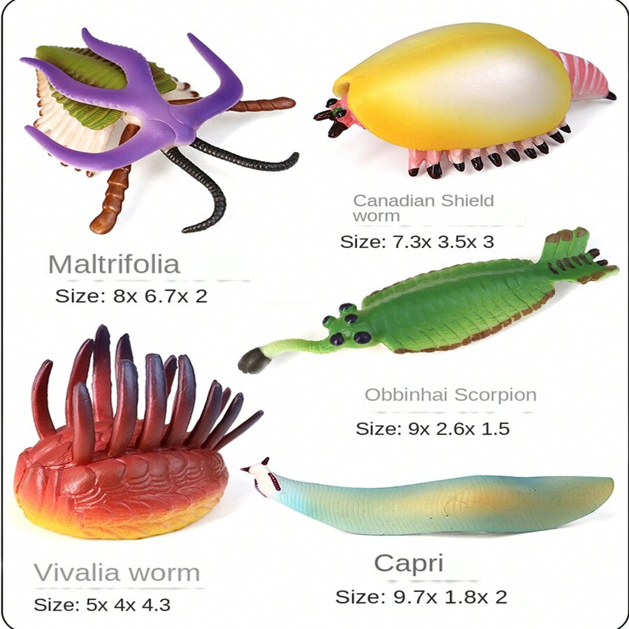 Simulation Marine Toy, Prehistoric Marine Life Fossil Model Of ...