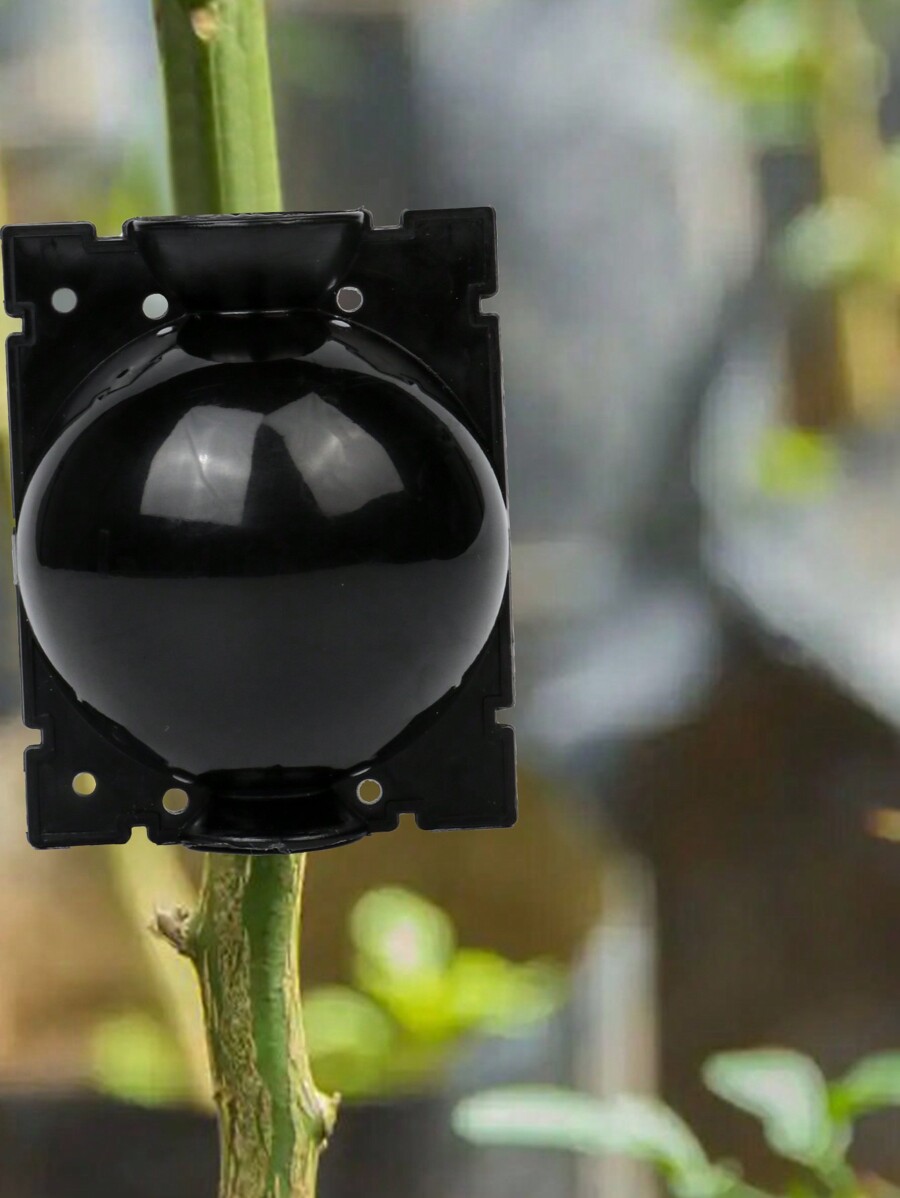 6Pcs Plant High Pressure Box Grafting Root Box High Pressure Layered ...