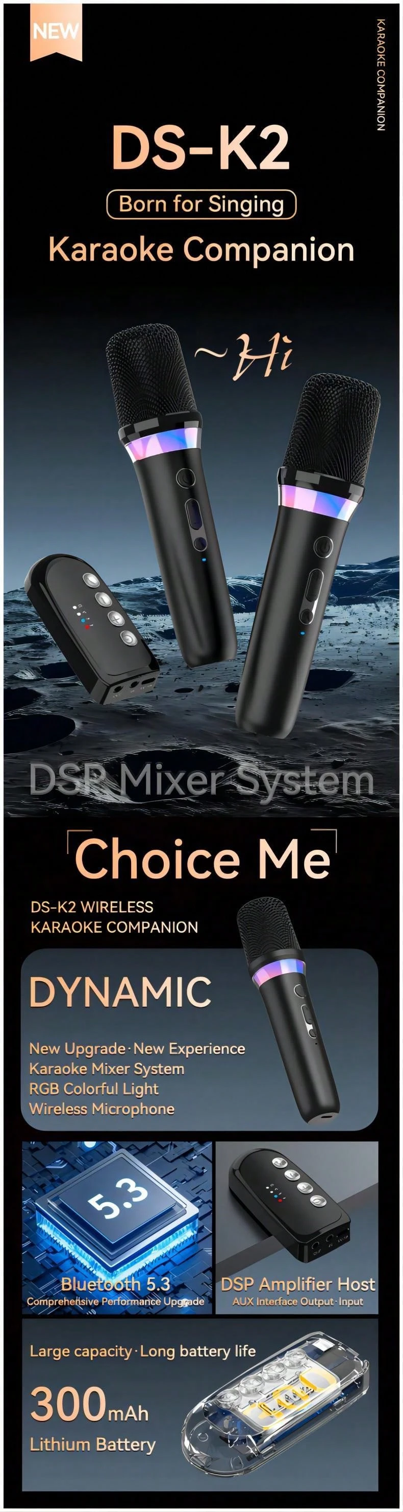 DS-K2 Karaoke Companion Bluetooth 5.3 Wireless Dynamic Microphone RGB Colorful Lights KTV DSP ...