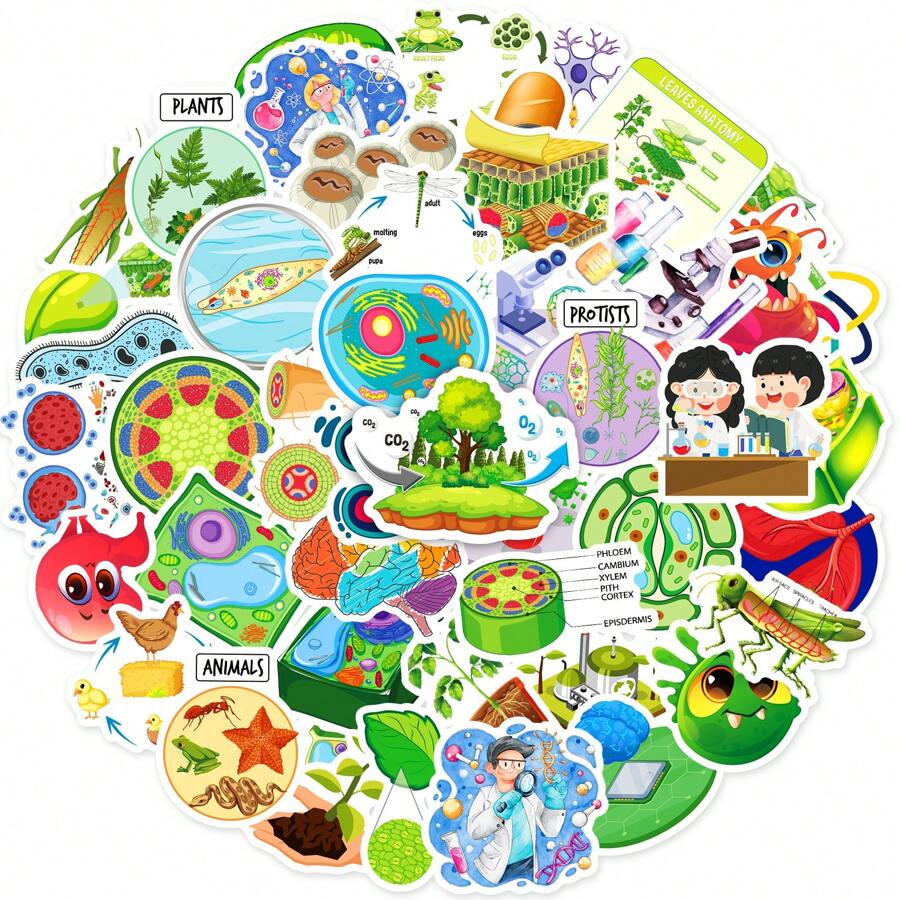 50pcs Science Stickers For Students, Vinyl Waterproof Chemistry Biology ...