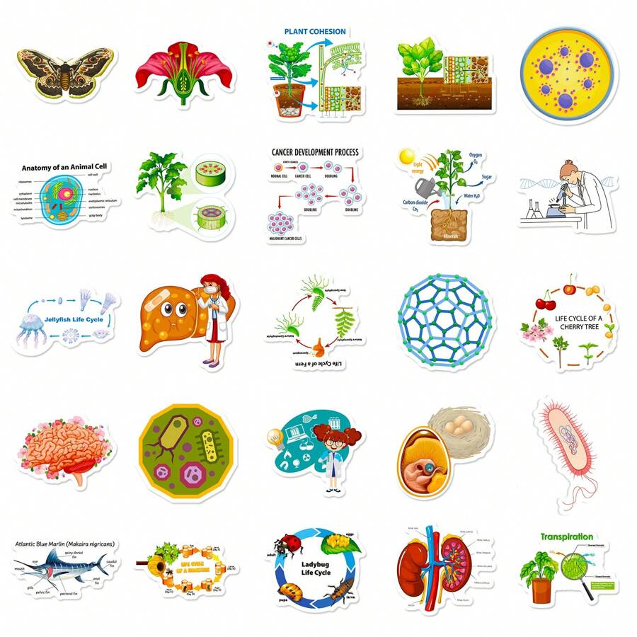 50Pcs Sciences Stickers For Teens Adults, Science Laboratory Classroom ...